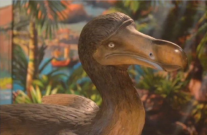 Exhibitions – Mansfield Museum