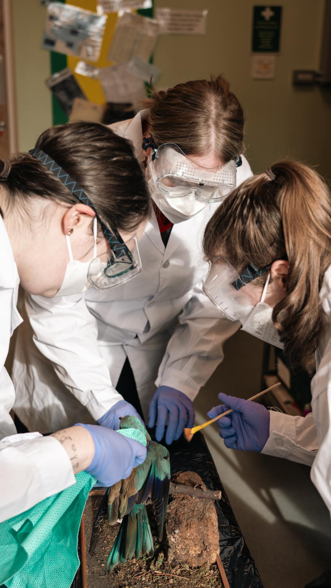 Learning and Aspiration – Mansfield Museum